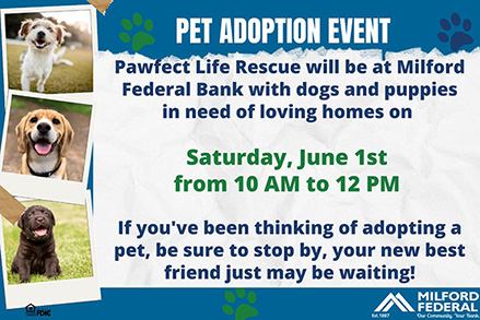 Pet Adoption Event WithMilford Federal Bank & Pawfect Life Rescue ...